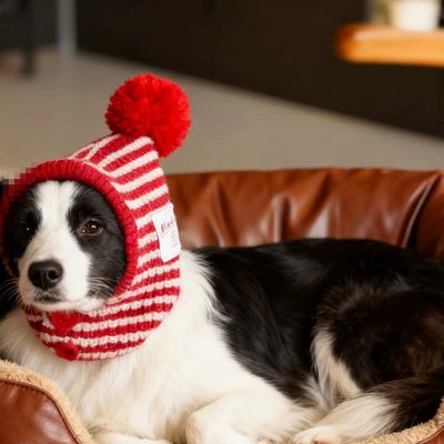 冬日毛孩美拉德狗狗猫咪宠物圣诞装帽子手工编织毛线可爱过年装扮