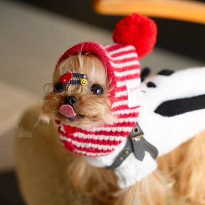 冬日毛孩美拉德狗狗猫咪宠物圣诞装帽子手工编织毛线可爱过年装扮