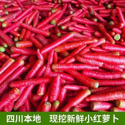 四川农家红萝卜新鲜红心甜萝卜自种生吃沙地水果红胡萝卜辅食蔬菜