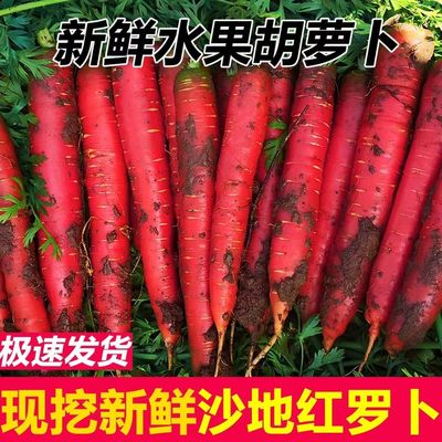 新鲜红萝卜红心可生吃水果红胡萝卜四川农家自种红胡萝宝宝辅食