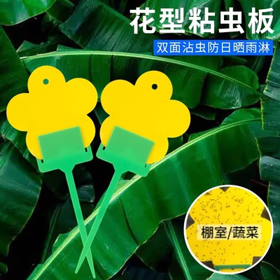 黄板双面粘虫板小黑飞粘板小飞虫果蝇绿植黄色花型诱捕器小黄板