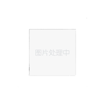 丽驰哪吒汽车脚垫嘉宝星