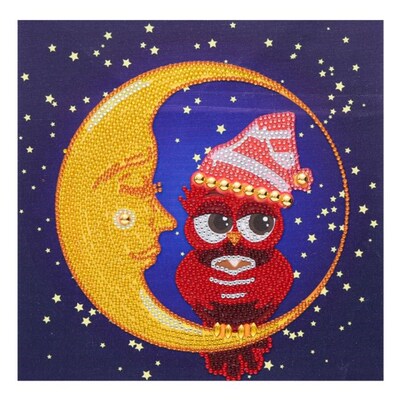 2022 New 5D Diamond Paintings Kit DIY Diamond Drawing Set Sp