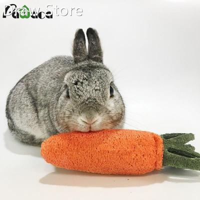 Hamster Chew Toy loofah Sponge Carrot For Rabbit Guinea Pi