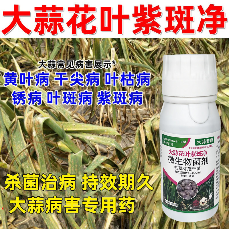 大蒜专用防治花叶病紫斑病叶枯病干尖黄叶病锈病蒜苗专用