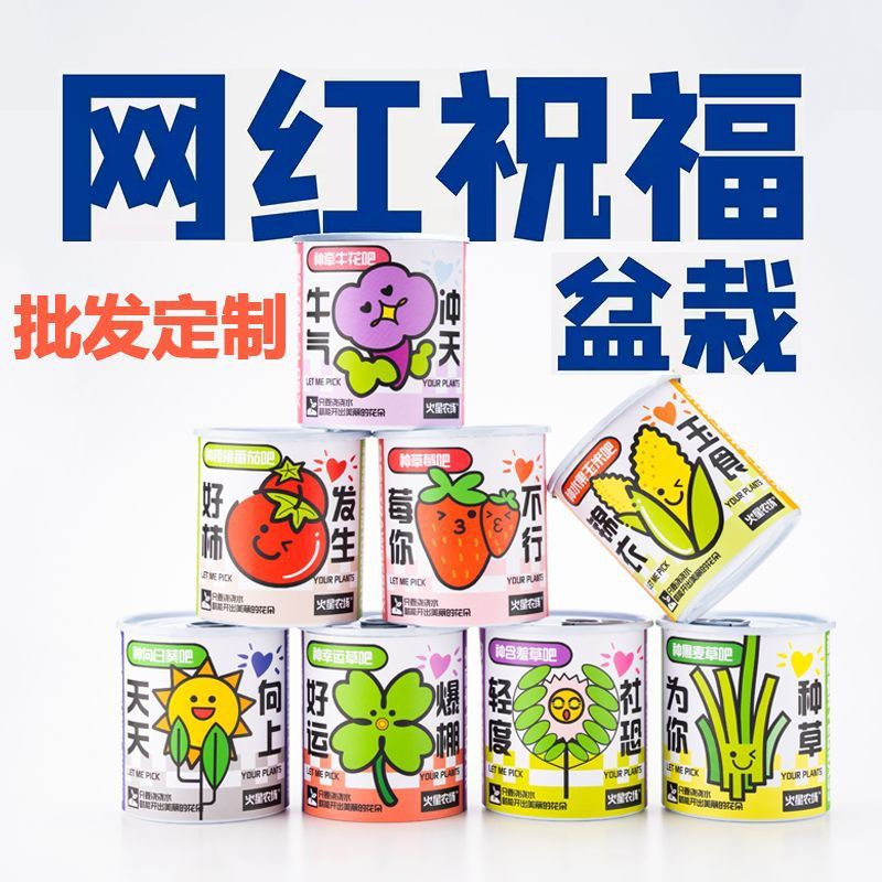 办公室绿植小盆栽神奇植物室内迷你桌面儿童种植罐头情绪稳定盲盒