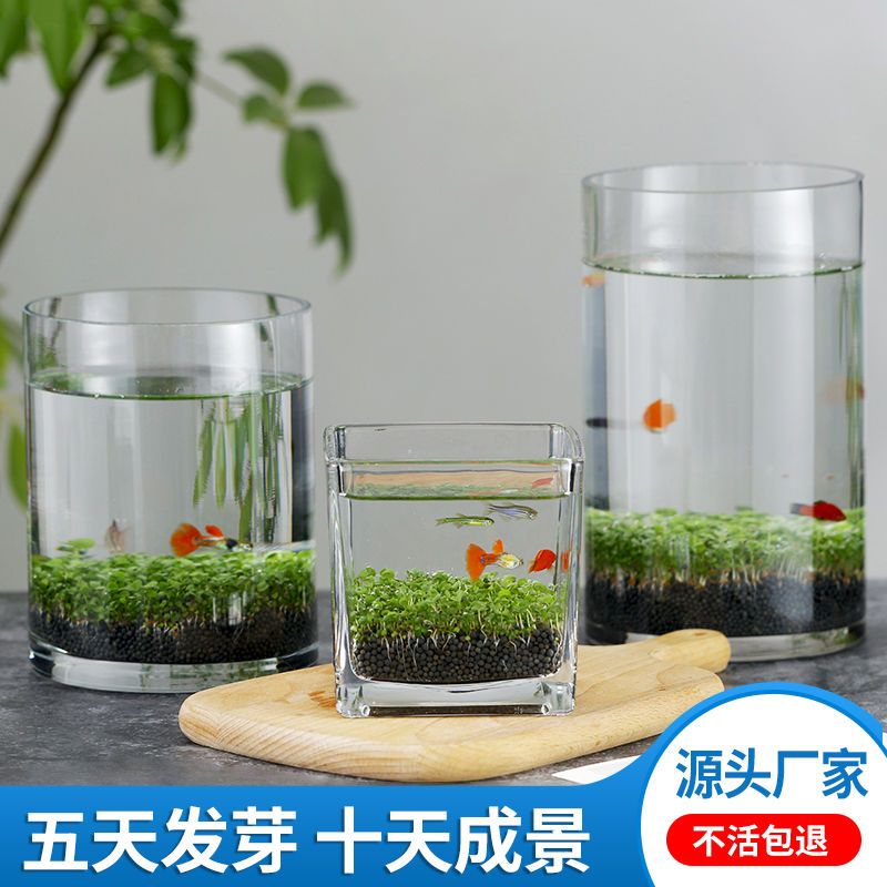 桌面微景缸水草缸水培缸生态瓶创意DIY居家水草泥种子籽造景鱼缸