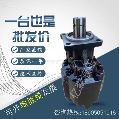 替代HYVA海沃齿轮泵100排量单联齿轮转换机械液压泵 规格齐全现货