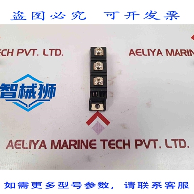 原装供应 SEVERN TRENT DE NORA VSKH105/06 二极管功率模块 3L43