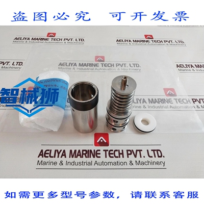 原装供应 海洋工程 100755 REV-AA 插装阀