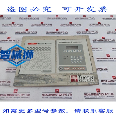 原装供应 INCENDIO MARINO VA THORN 控制器 WSP9839 SOLO COPERT