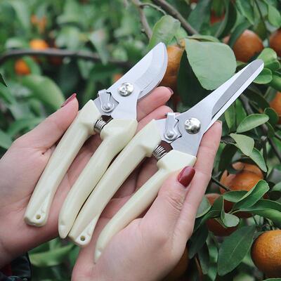 Stainless Steel Branch Pruning Shears for Trimming, Fruit an