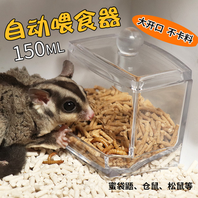 小飞鼠蜜袋鼯用品自动喂食器仓鼠松鼠飞鼠用品食盒碗食具大容量