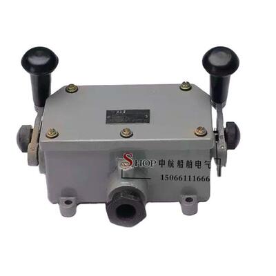 远图电气船用双柄电键开关AJ2莫氏电键220V10A防护等级IP56