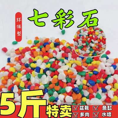 七彩石多肉铺面石园艺石子天然彩石花盆装饰小石子鱼缸底砂五彩石