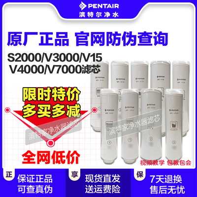 滨特尔净水器V/S/U滤芯官方正品