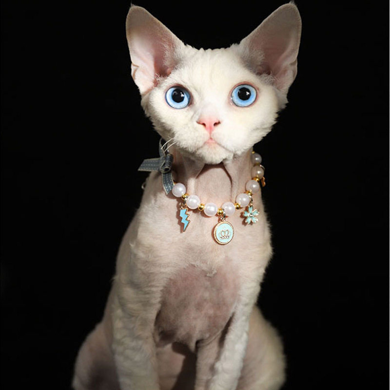 宠物珍珠项链猫咪项圈装饰品可爱脖子围脖布偶猫幼猫挂脖狗狗猫猫