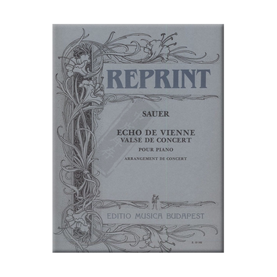 索尔埃米尔维也纳回声钢琴