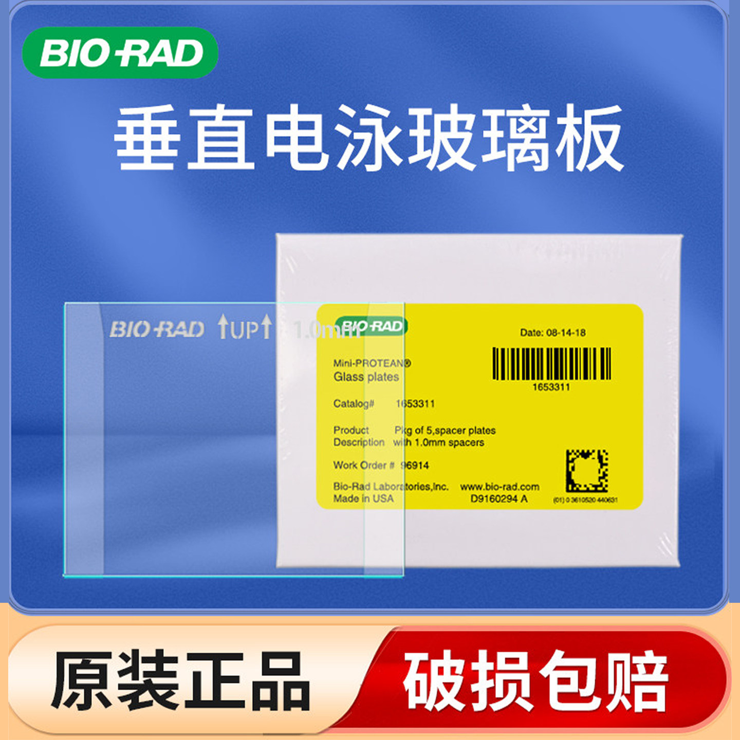 伯乐Bio-Rad玻璃短板薄板厚板长板跑胶制胶用WB蛋白电泳仪玻璃板