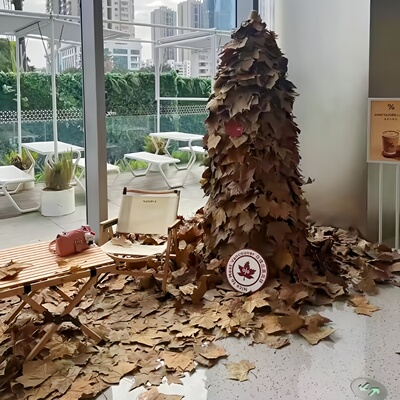 天然梧桐叶樟树叶玉兰叶落叶枯树叶店铺造景秋日氛围橱窗铺地装饰