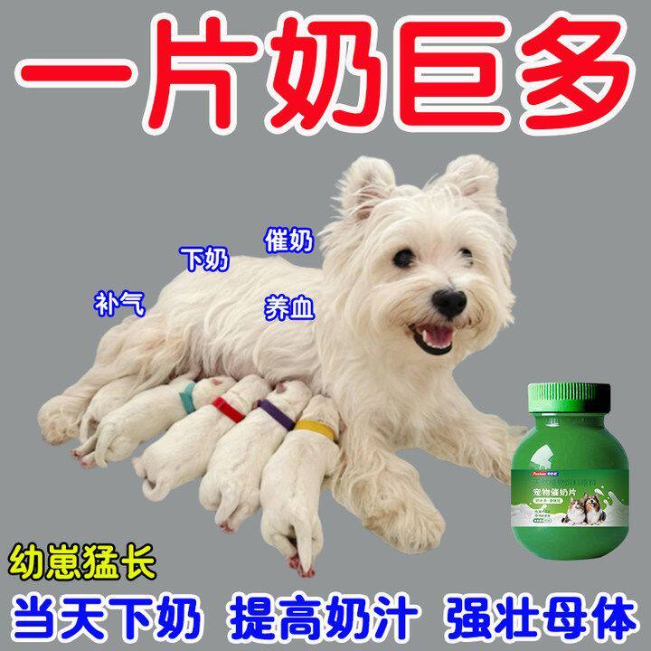 宠物催奶片猫狗下奶催奶片催乳猫犬开奶狗犬用催奶