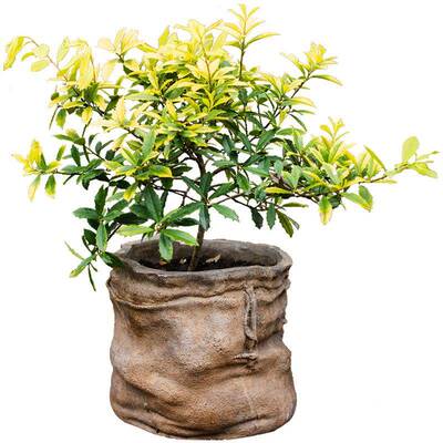 水泥麻布口TC06085袋花盆花篮花种植绿I植复古陶瓷专多用肉北欧N