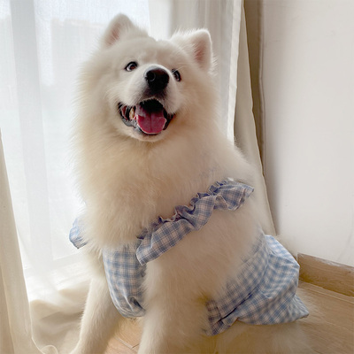 宠物狗狗新款衣服夏日清新小裙裙大中小型犬萨摩耶拉布拉多拍摄