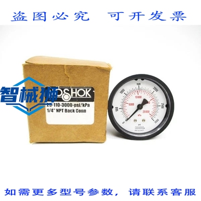 原装供应 NOSHOK 25-110-3000-PSI/KPA 1/4 NSMP