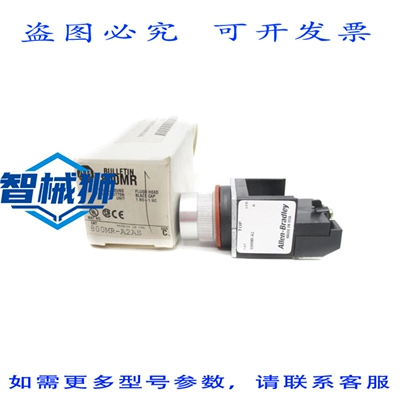 原装供应 罗克韦尔AB 800MR-A2AS 系列C NSMP