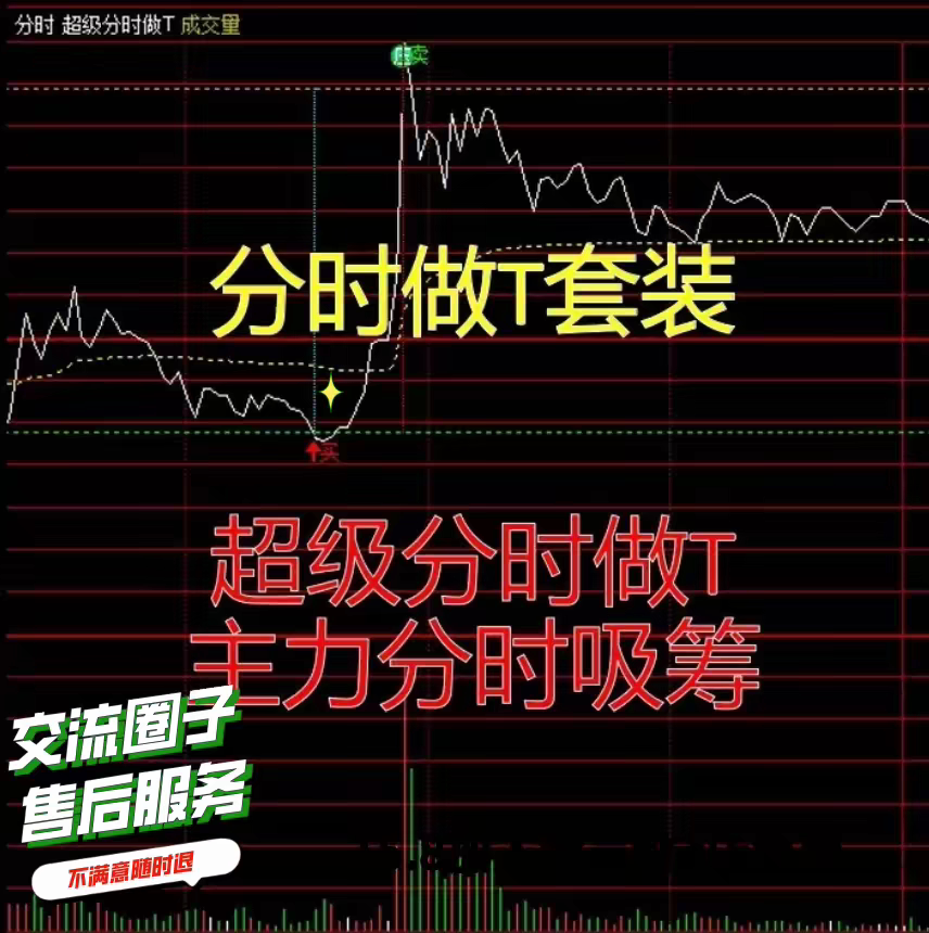 通达信 分时做T套装 超级分时做T+庄无遁形+超级顶底+选股器 绝密
