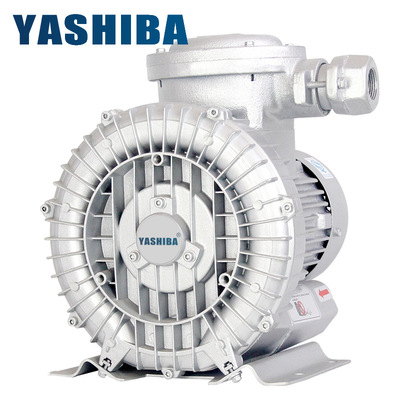 EXIIBT4防爆旋涡风机高压鼓风机CT4粉尘防爆漩涡气泵矿用离心风机