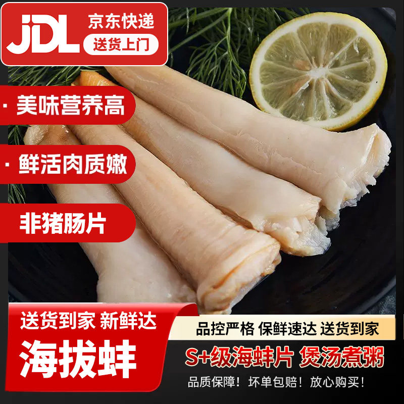 顺丰包邮拔蚌鲜活非象牙蚌蚌仔新鲜生鲜海鲜水产非象牙蚌象鼻蚌