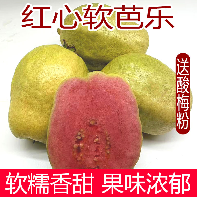 广西红心芭乐香甜番石榴新鲜软心心软水果当季红心香软糯应季红软