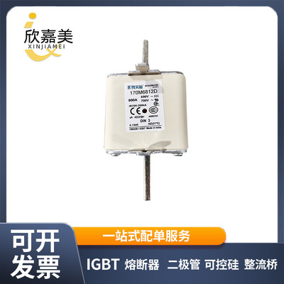 170M6812D  170M6813 快速熔断器  保险丝 电子元器件 量大价优