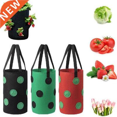 Strawberry Tomato Growing Bag Garden Hanging Vegetable Bare