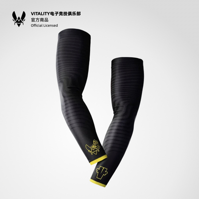 Vitality小蜜蜂战队冰袖Major