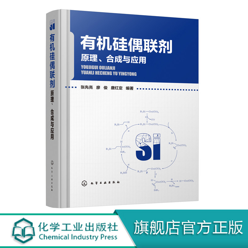 有机硅偶联剂 原理 合成与应用 张先亮廖俊 有机硅偶联剂生产制备技术书籍 硅烷偶联剂大分子硅偶联剂硅烷偶联剂衍生物合成及应用