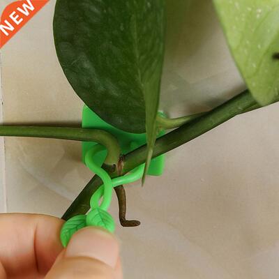 100pcs Invisible Wall Rattan Clamp Clip Plant Climbing Wall