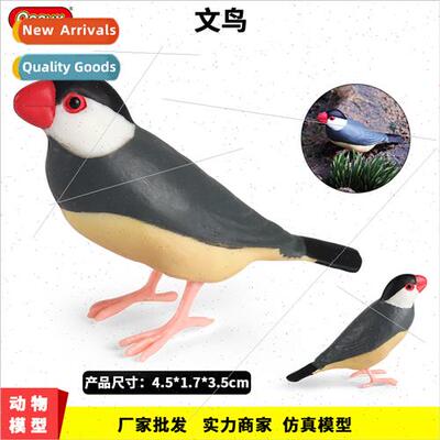 bird model Wen bird boy parrot walking cuckoo sandbox orname