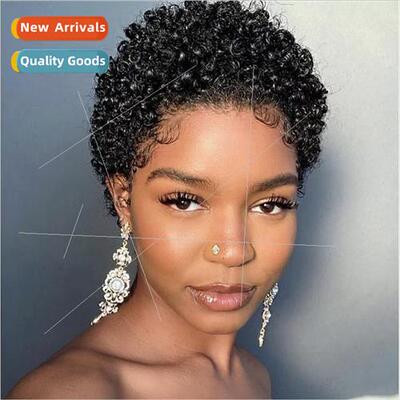 Europe wig short hair ladies fluffy black afro wig synthetic