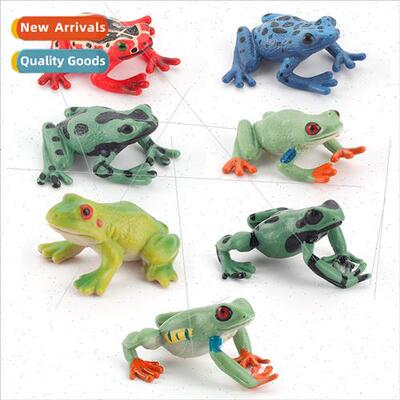 Tropical rainest animals frogs e frog model static poisonous