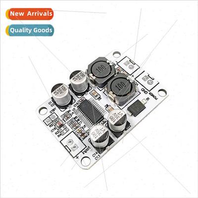 TPA3110 PBTL Mono Digital Amplifier Board 30W Amplifier Modu