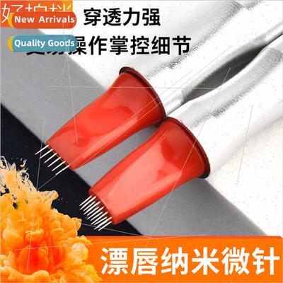 Embroidery handmade lip bleaching needle nano-micro-needle s
