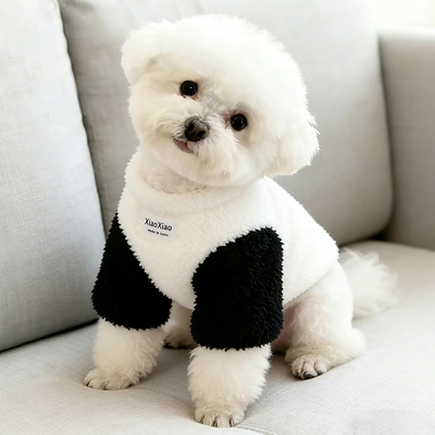 秋冬季新款宠物衣服小型犬白色比熊泰迪云朵绒卫衣保暖狗狗冬装