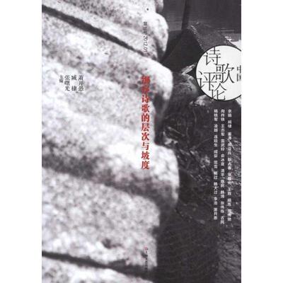 【正版书籍】 中国诗歌评论:细察诗歌的层次与坡度 萧开愚,张曙光,藏棣 编 上海文艺出版社