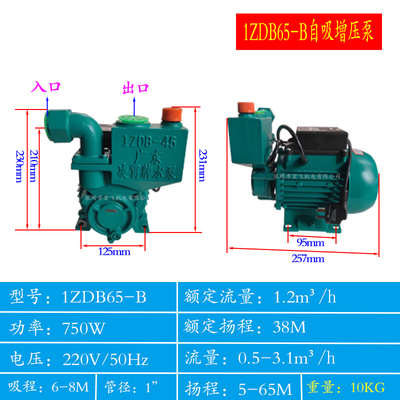 新款广东水泵1ZDB35-B、4