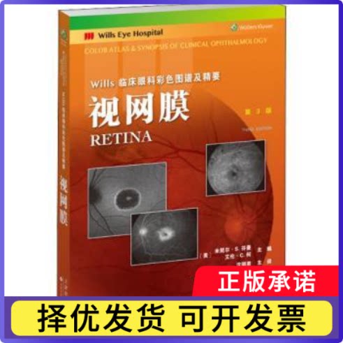 视网膜[美]米契尔·S.芬曼,[美]艾伦·C.何9787543341593天津科技翻译出版公司书籍\/杂志\/报纸/医学卫生/耳鼻喉科学