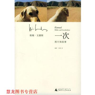 【正版书籍】 一次—图片和故事 （德）维姆·文德斯 著,崔峤,吕晋 译 广西师范大学出版社