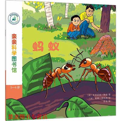 【正版书籍】 蚂蚁 (法)史黛芬妮·勒迪(Stephanie Ledu) 上海文化出版社
