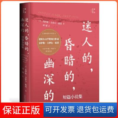 【保正版】迷人的，昏暗的，幽深的：短篇小说集/欧茨作品集（美）乔伊斯·卡罗尔·欧茨人民文学出版社9787020167661